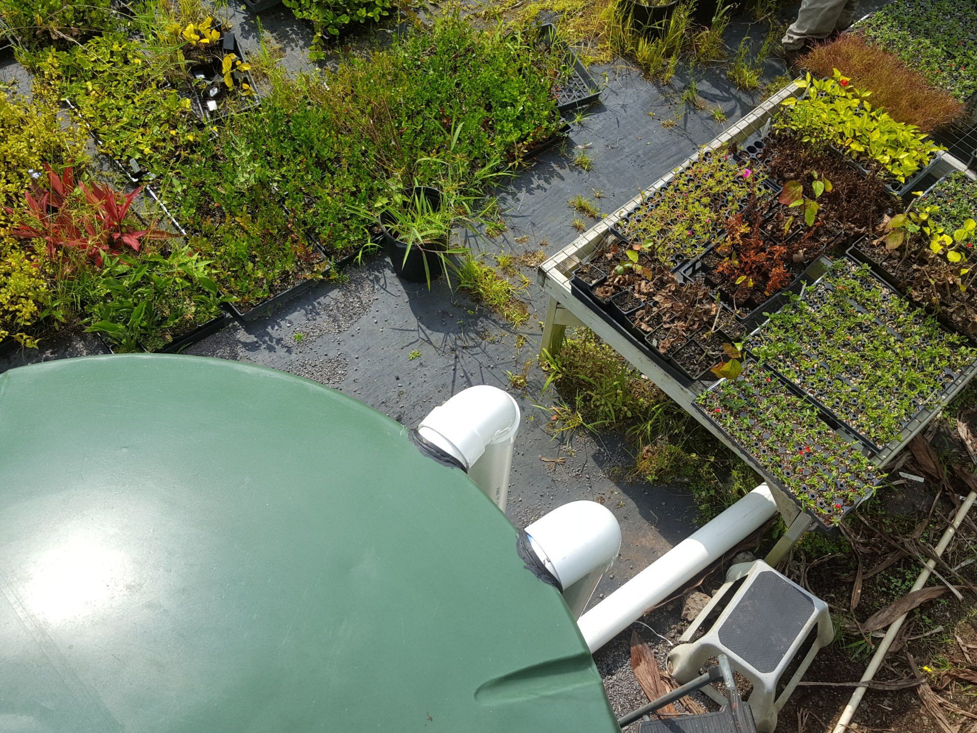 Pacific Blue Catchment - Water Catchment Tanks & Service